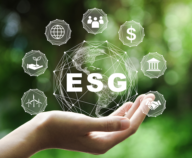 Recognition and Sustainability Reporting - Quality Incentive Company